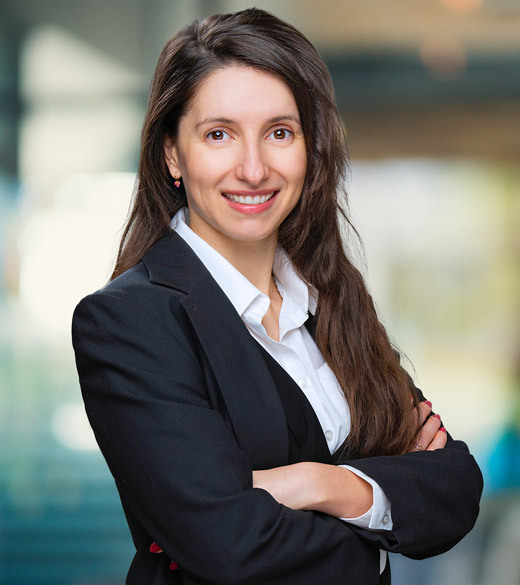 Data Privacy and Cybersecurity Attorney | McDonald Hopkins Detroit